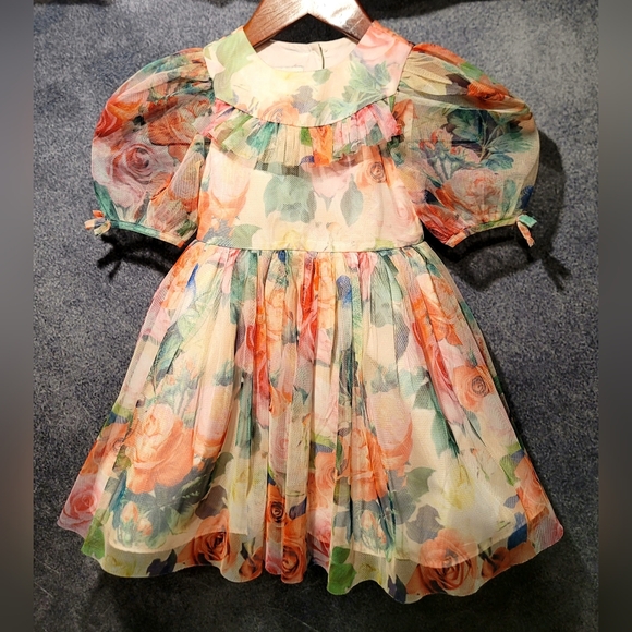 Pippa & Julie | Dresses | Pippa Julie Size 2 T Dress Sheer Puff Rose ...